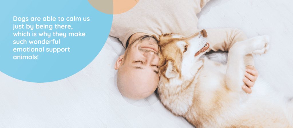 7 Ways to Relax with Your Pet - Support Pets