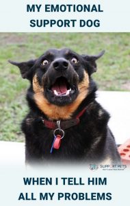 9 Memes ESA Owners Can Relate To - Support Pets